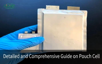 Detailed and Comprehensive Guide on Pouch Cell